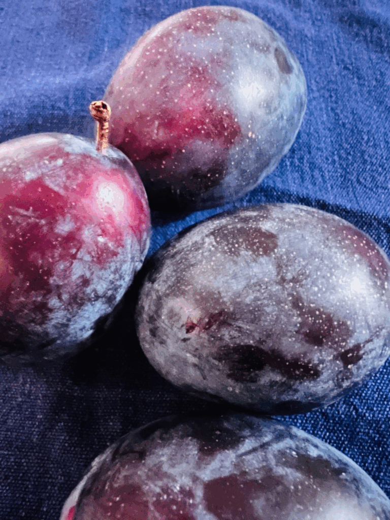 Italian Plums! - Nuyu Nourish